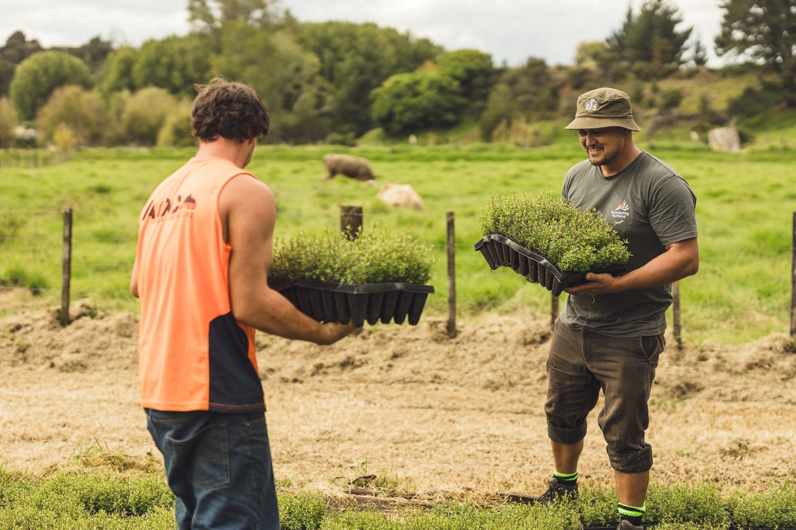 How technology is being used to help support environmental conservation ...